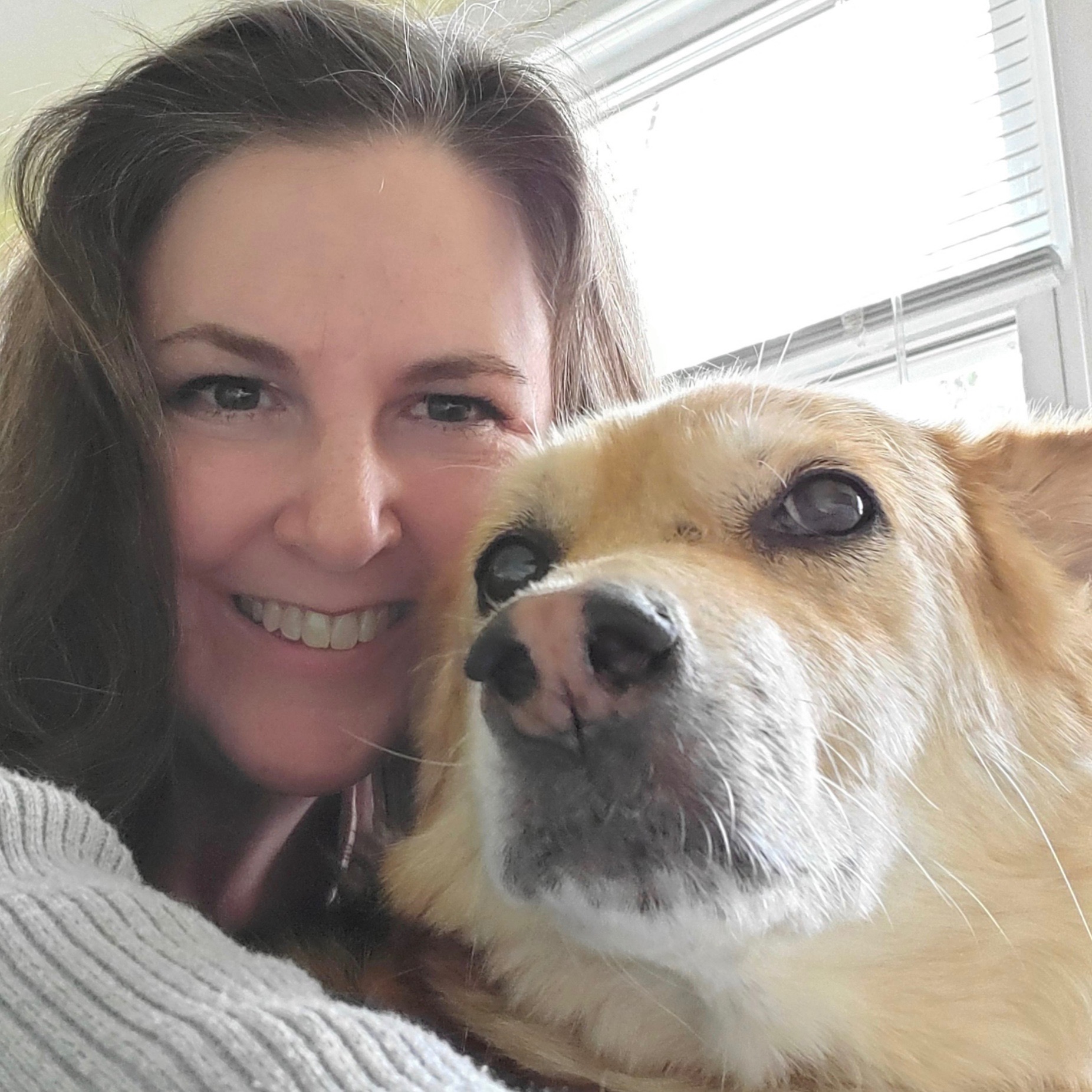 ASL Deafined | How to Learn ASL through video lessons online